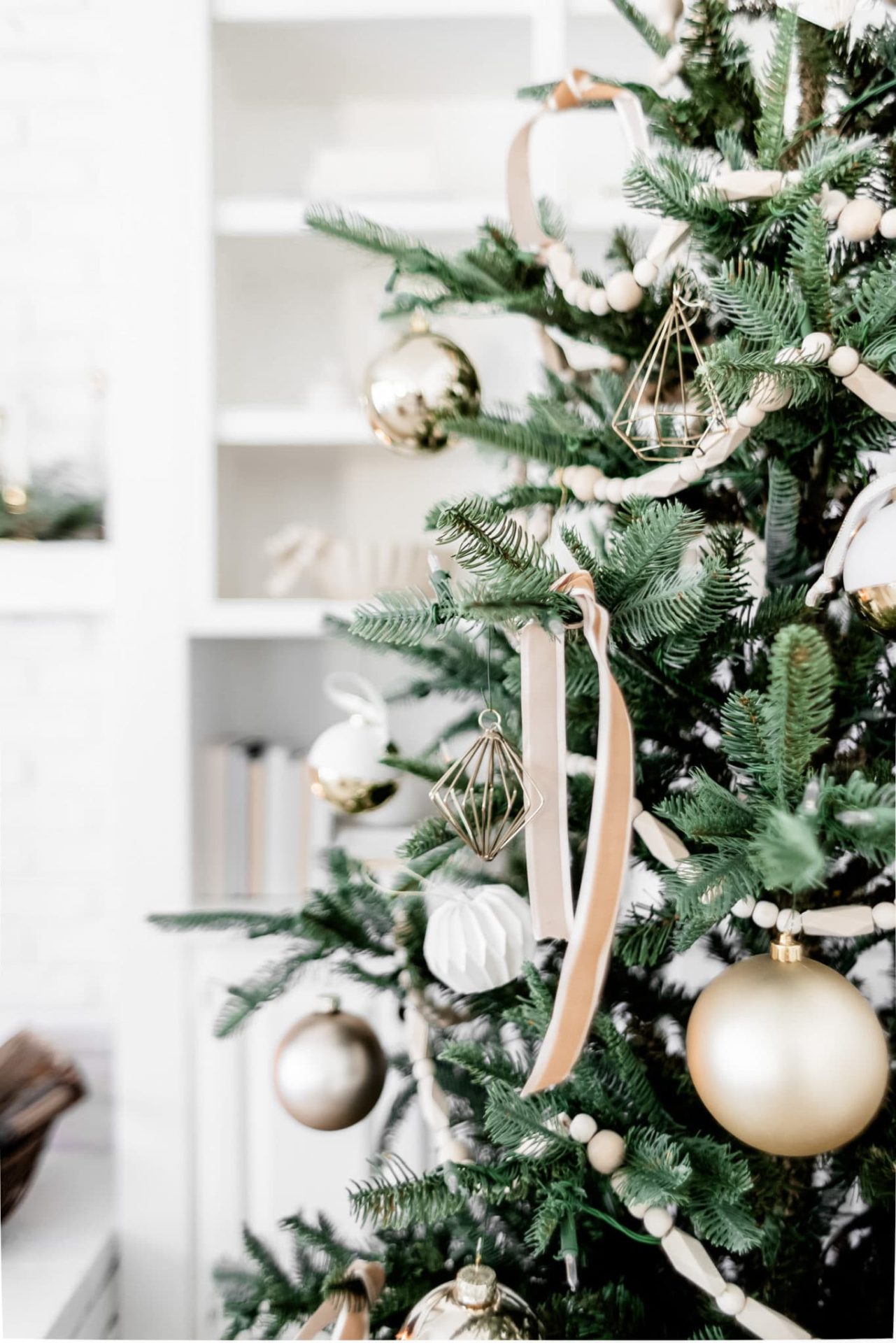 Organic Christmas Trees | PrettyOrganicGirl