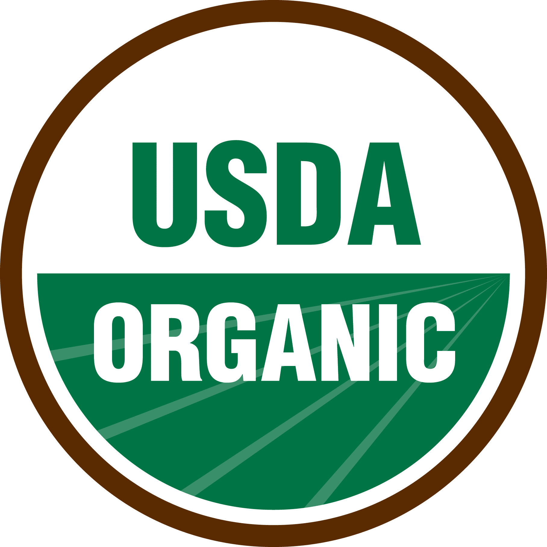 The Best Organic Tea Brands 2026 | PrettyOrganicGirl